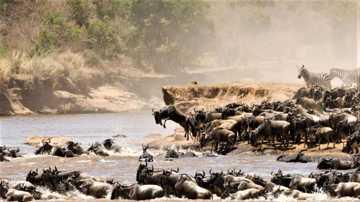 Where to See the Great Migration in East Africa | Out2Africa Blog ...